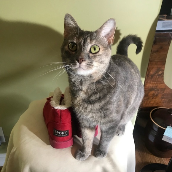 Shoes | Sport Red Boots Cat Extra | Poshmark